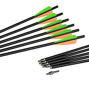 SHENG-RUI ARCHERY Crossbow Bolts Fiberglass Arrows with Flat Nock Replaced Arrowheads for Outdoor Hunting 14 inch (Pack of 12)