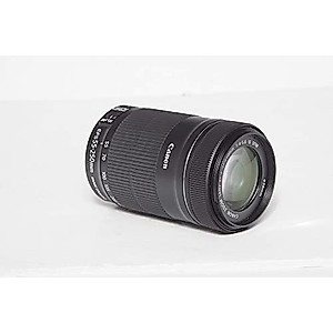 Canon EF-S 55-250mm f/4-5.6 IS STM Telephoto Zoom Lens (Import Model)