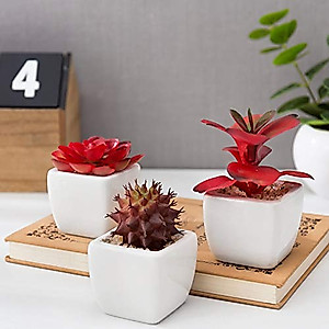 MyGift Assorted Artificial Red Succulent Plants, Mini Fake Desert Plants in White Square Pots, Set of 3
