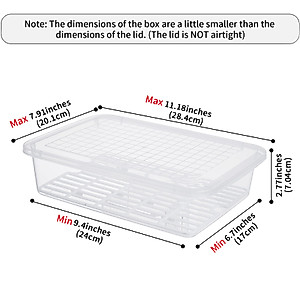 77L Food Storage Container, (3-Pack) Plastic Food Containers with Removable Drain Plate and Lid, Stackable Portable Freezer Storage Containers - Tray to Keep Fruits, Vegetables, Meat and More (Large)