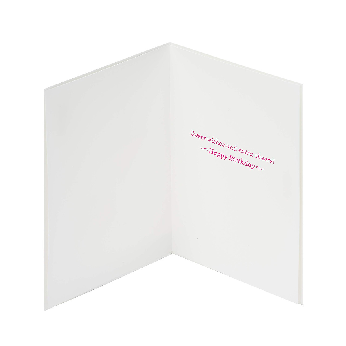 Papyrus Birthday Card - Designed By Bella Pilar (Extra Cheers)