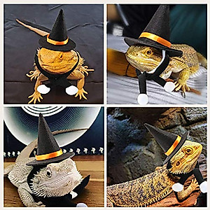 Rypet Bearded Dragon Halloween Costume - Lizard Wizard Hat with Scarf Halloween Costumes Set for Bearded Dragon Halloween Party