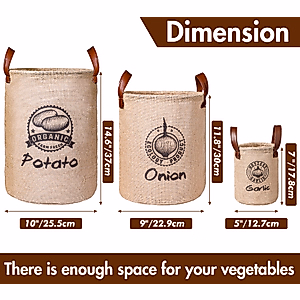 Kamehame Potato and Onion Storage Baskets Pack of 3, Lined Burlap Pantry Storage Bins for Potato Onion Garlic with Handles