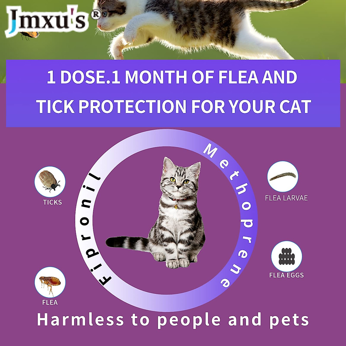 Flea and Tick Prevention for Cats, Cat Flea & Tick Control with Fipronil, Long-Lasting & Fast-Acting Topical Flea & Tick Treatment Drops for Kitten, 3 Doses