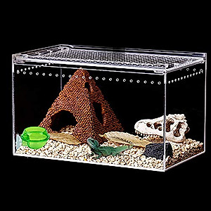 AUEAR, 2 Pack Reptiles Suction Cup Feeder Chameleon Feeding Food Cricket Bowl Water Dish Gecko Ledge Supplies Accessories for Gecko Lizard Bearded Dragon