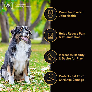 International Veterinary Sciences IVS Arthramine MAX Healthy Joints Glucosamine Supplement for Dogs with Fish Oil, Hyaluronic Acid, MSM, and Vitamin C, Made in the USA, 60 Count