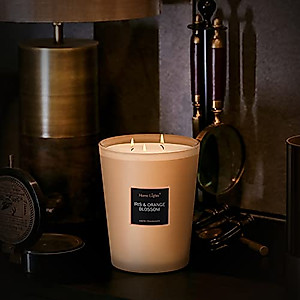 HomeLights Scented Candles | Large Jar Candle-33.3 Oz. Natural Soy Aromatherapy Candles | Up to 130 Hours Burn Time with 3 Cotton Wicks, Home Decorative Fragrance Candle Gift - Iris & Orange Blossom
