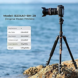 K&F Concept 64''/162cm DSLR Tripod,Lightweight and Compact Aluminum Camera Tripod with 360 Panorama Ball Head Quick Release Plate for Travel and Work B234A1+BH-28 (Orange)