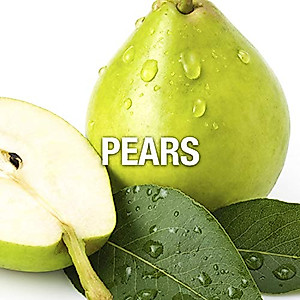 Men's Cologne Fragrance Spray by Ed Hardy, Hearts & Daggers, Eau De Toilette, 3.4 Fl Oz