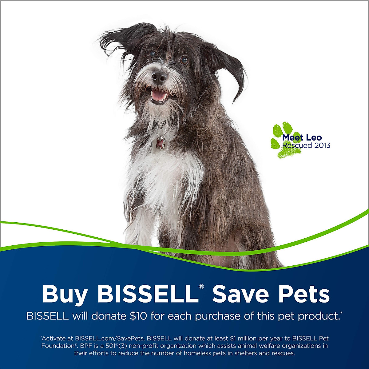 Bissell 22543 Clean view Swivel Rewind Pet Vacuum And Carpet Cleaner, Purple