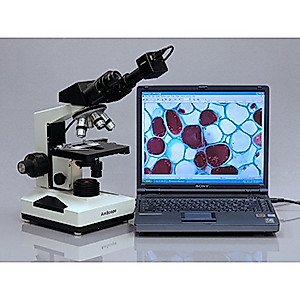 AmScope B490 Compound Binocular Microscope, WF10x Eyepieces, 40X-1000X Magnification, Brightfield, Halogen Illumination, Abbe Condenser, Double-Layer Mechanical Stage, Sliding Head, High-Resolution Optics, Anti-Mold