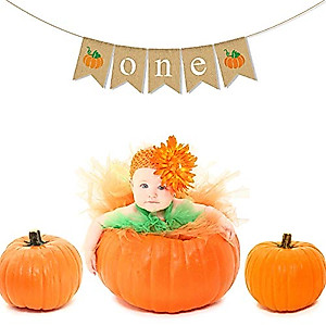 Rainlemon Jute Burlap Pumpkin One High Chair Banner Fall Thanksgiving Boy Girl 1st Birthday Party Highchair Garland Decoration