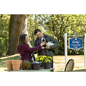 ALL OF MY HEART COLLECTION: ALL OF MY HEART