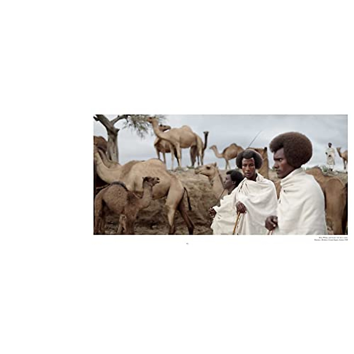 Ethiopia: A Photographic Tribute to East Africa's Diverse Cultures & Traditions (Art photography, Books About Africa)