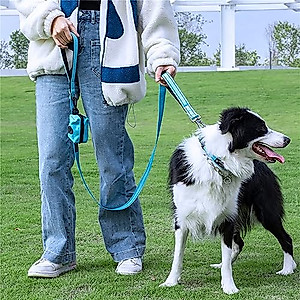 EXCELLENT ELITE SPANKER Strong Durable Nylon Dog Training Leash Traction Rope 5 Feet Long 3/4" Wide with Poop Bag Holder for Small Dogs(Pink)