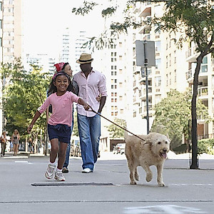 Coolrunner Durable Dog Slip Rope Leash, 5 FT Dog Training Leash, Strong Slip Lead, Standard Adjustable Pet Slipknot Leash for Small Medium Dogs(10-80 lb) Black