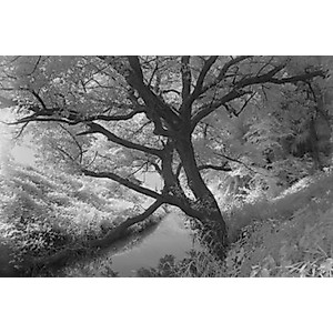 Hoya 77mm R-72 Infrared Filter