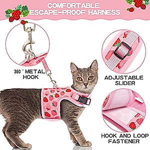 BINGPET Cat Harness with Leash Escape Proof - Fashionable Mesh Cat Dog Walking Harness Leads, Adjustable for Kitties Puppies Small Animals