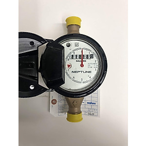 3/4 X 3/4 T-10 Water Meter Direct Reading Gallon