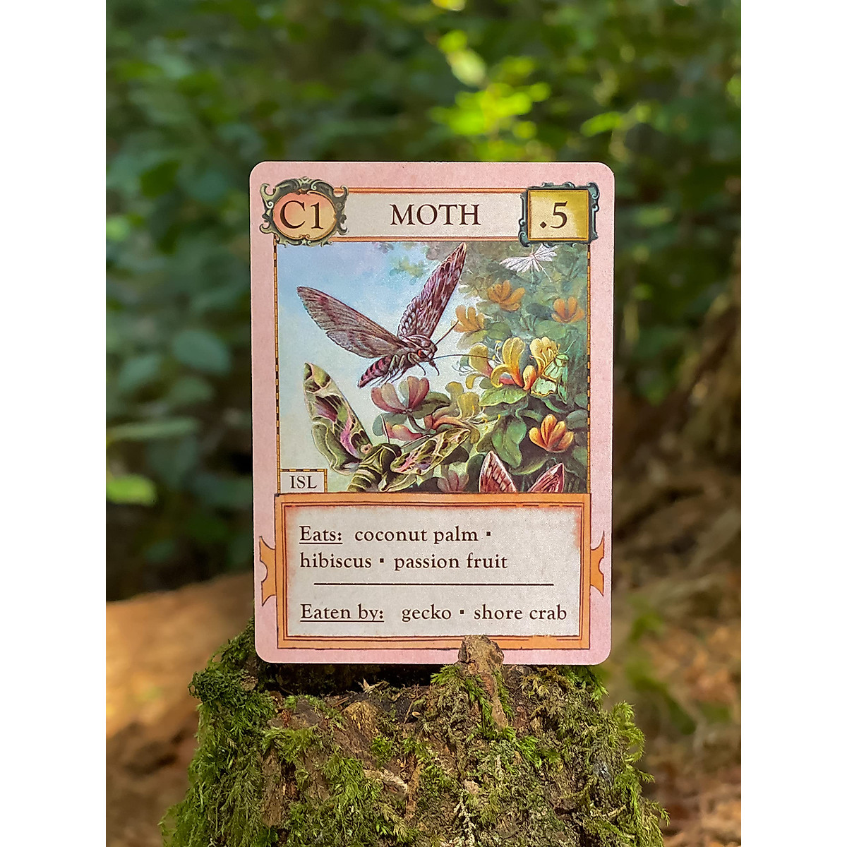 Montrose Biology Ecologies: Hidden Habitats - Use Science to Build Food Webs in 7 Biomes - Beautiful Vintage Nature Art for The Classroom or Game Night