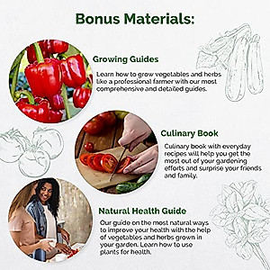 25 Summer Vegetable & Herb Garden Seeds Variety Pack for Planting Outdoors and Indoor Home Gardening 3500+ Non-GMO Heirloom Veggie & Herb Seeds: Tomato Pepper Okra Bean Cucumber Basil Rosemary & More