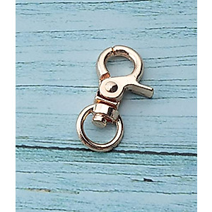 Ruwado 5 Pcs Dog Tag Clips with 5 Pcs 3/4 Inch Keychain 5 Pcs 1 Inch Keychain Gold Metal Dog Tag Rings for Pet Kitten Cat Collars ID Holder Harnesses