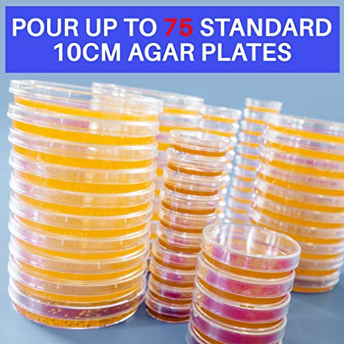 Sabouraud Dextrose Agar Powder 100grams - Evviva Sciences - Make Up to 75 Agar Petri Dishes - Premium Performance - Excellent for Mold & Fungus - Great for Mushrooms & Science Projects