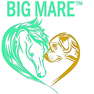 Big Mare All Purpose Horse Skin & Wound Care | 32oz Bottle | First Aid: for Girth Itch, Crud, Itchy Manes & Tails & Hair Loss | Veterinarian Approved & Recommended