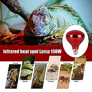Wesome Lighting Reptile Heat Lamp Bulb, 100 Watts Infrared Basking Spot Light for Reptiles,Amphibian and Glass Terrarium, 1 Pack