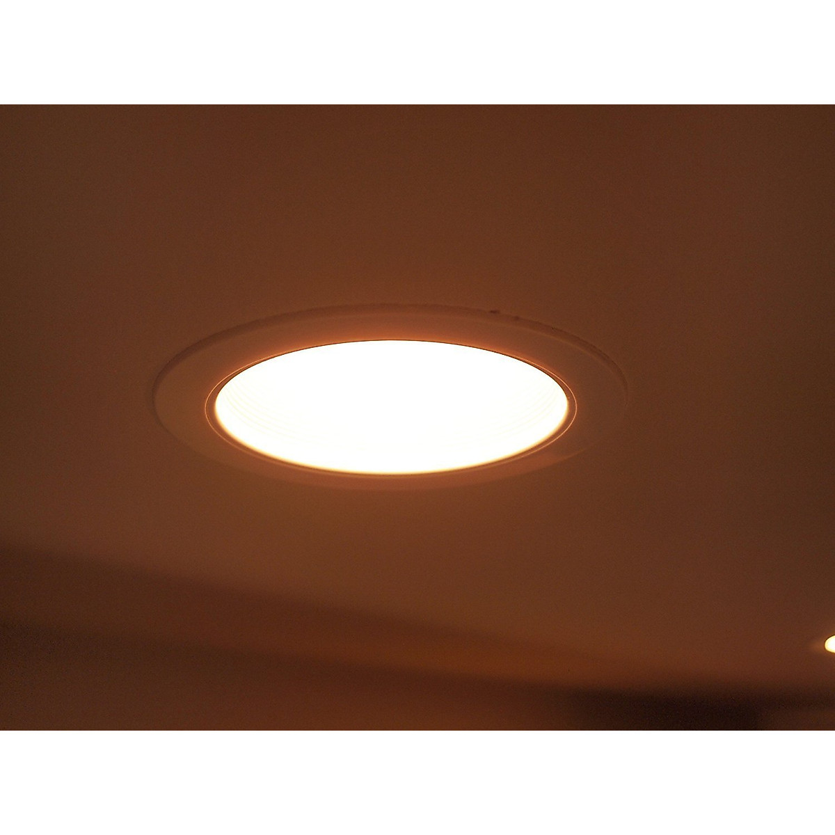 Par 20 6 Pack FL25 35PAR20/FL 35 Watt Halogen Spot Light Bulb Replacement 120V 130V Base Flood Beam Lighting Range Hood Oven PAR20 Reflector Excel Bulbs DL Kitchen Bathroom Ceiling Can Lamp 35W E26 6P