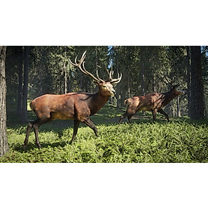 theHunter: Call of the Wild - PC