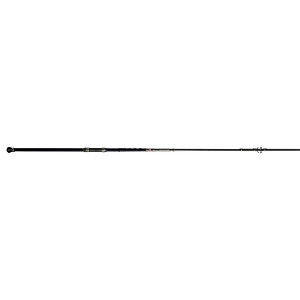PENN Carnage III Surf Spinning Fishing Rod, Silver/Black/Gold, 10' - Medium Heavy - 20-40lb - 2pc