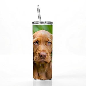 Wirehaired Vizsla Dog Puppy Photo Skinny Tumbler 20oz with Straw Insulated Water Bottle Gift