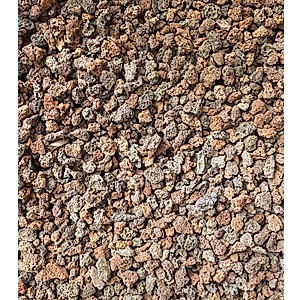 2 Gal. 3/8" Horticultural Red Lava for Cactus & Succulent, Bonsai Tree Soil Mix and Top Dressing - Medium Grain