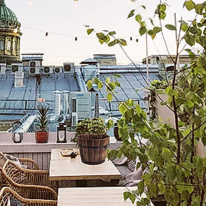 Happyyami Wooden Flower Bucket Wooden Bucket Barrel Planters Rustic Patio Planter Flower Pots for Plants Indoor Outdoor Garden Decoration Ornament Coffee