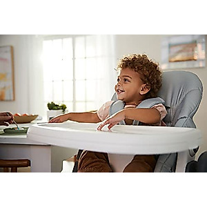 Safety 1st 3-in-1 Grow and Go Plus High Chair, 3 Modes of Use: Infant Recliner, Toddler high Chair, and Child seat, Dunes Edge