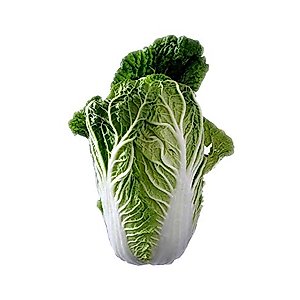 Chinese Michihili Cabbage 600 Seeds Bok Choi #114 Zellajake Farm and Garden has TONS of microgreens and Sprouting Seeds. Check Out Our Store Now