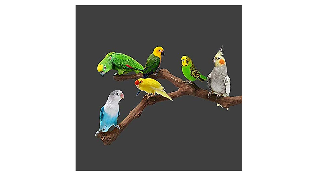 Allazone 5 PCS Bird Perch Set - Natural Grape Vine Stand for Parrots