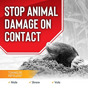 Mole & Vole Stopper, Granular Animal Repellent, All Natural, Effective All Year Round, Safe for People and Pets, No Harsh Chemicals, Ready to Use, Mole & Vole Animal Repellent - 40 lb. Bulk