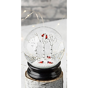 Winter Snow Globe by RAZ Imports: 4.5 Inch Cardinal Snow Globe (Birch Trees)