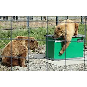 TuffBoxx Grizzly Animal Resistant Storage Solution (Green/Charcoal Color), Keeps Bears and Animals Out of Garbage and Trash, Holds 6 Trash Bags