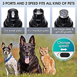 Dog Nail Grinder for Small, Medium and Large Dogs - Gentle Portable Paws Grooming and Smoothing - Professional 2-Speed Electric Rechargeable Dog Toe Trimmer