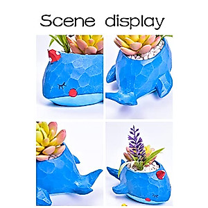 Cute Whale Flower Pot with Drainer Garden Flower Pot Resin Succulent Potted Bonsai Plant Stand Home Desk Mini Ornaments Balcony Landscape Ideas Blue Whale