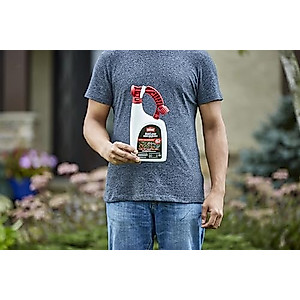 Ortho BugClear Insect Killer for Lawns and Landscapes Ready to Spray, Kills Periodical Cicadas, Ants, Spiders, Fleas, and Ticks, 32 oz., 2-Pack