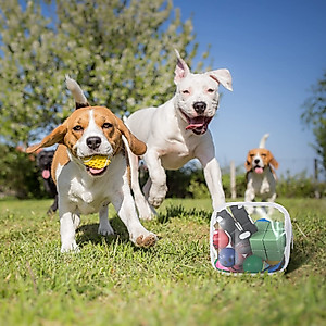 Weewooday 6 Pcs Mini Clear Toiletry Makeup Bag Small PVC Travel Bag Waterproof Plastic Cosmetic Bag with Zipper Portable Cosmetic Makeup Bag for Vacation Bathroom Organizing(Transparent)