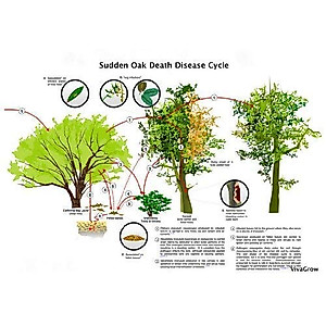 Quest Reliant Systemic Fungicide (Agri-Fos/Garden Phos) 1 Gallon