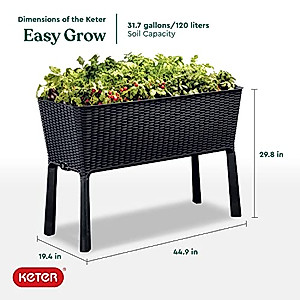 Keter Easy Grow 31.7 Gallon Raised Garden Bed with Self Watering Planter Box and Drainage Plug-Perfect for Growing Fresh Vegetables, Flowers and Herbs