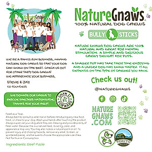 Nature Gnaws Braided Bully Sticks for Dogs 11-12" (10 Count) - Long Lasting for Aggressive Chewers and Large Dogs - Natural Beef Dog Chew Bones