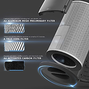 Airthereal True HEPA Filter Replacement for Glory Day AGH550 Air Purifier