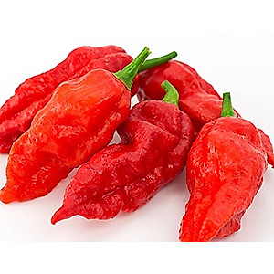 Ghost Pepper Seeds- 25+"Bhut Jolokia" by Ohio Heirloom Seeds